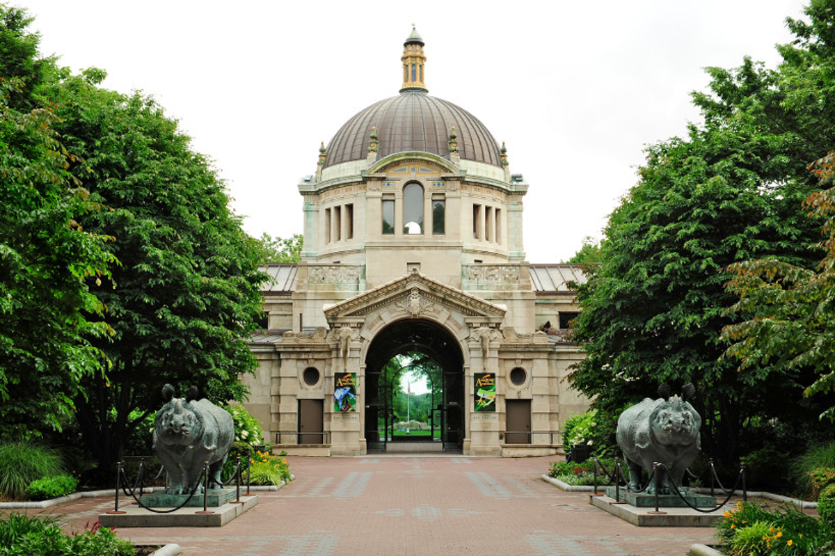 The Bronx zoo